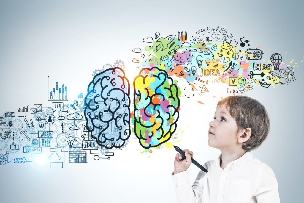 Mapa conceptual - Desarrollo cognitivo y maduración cerebral